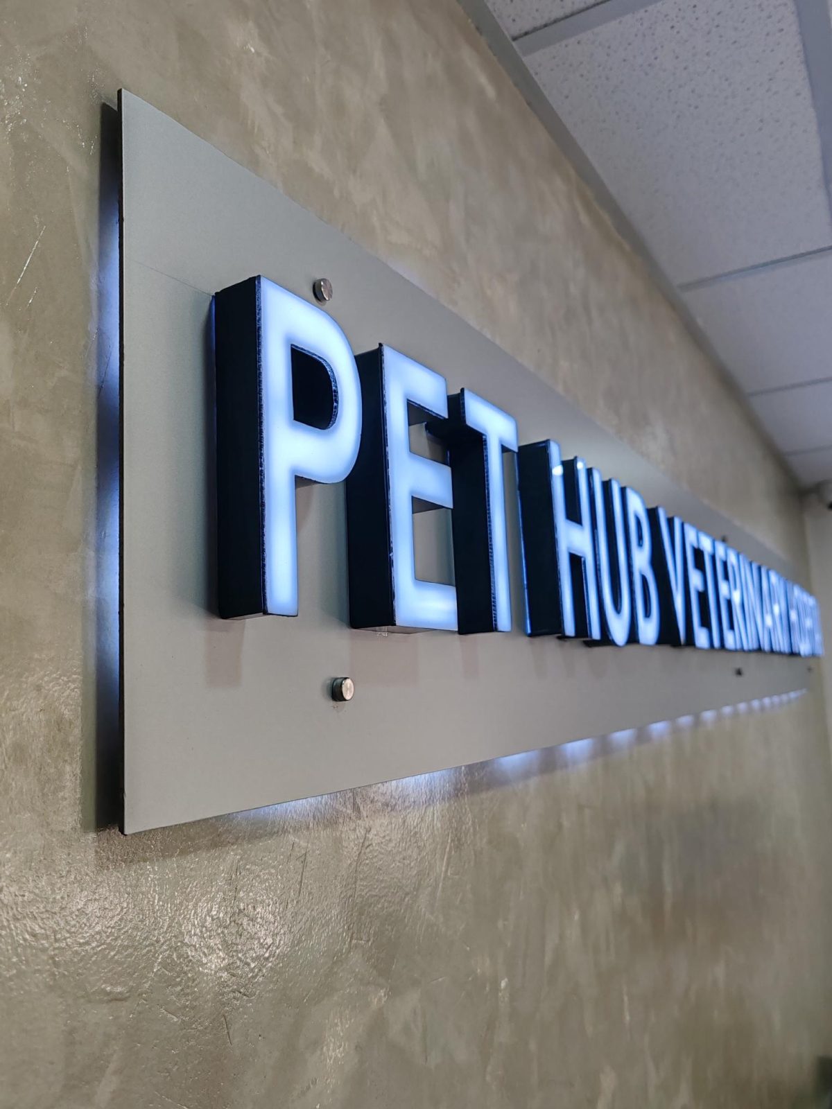 Pet Hub Veterinary Hospital – Angeles – Pet Hub